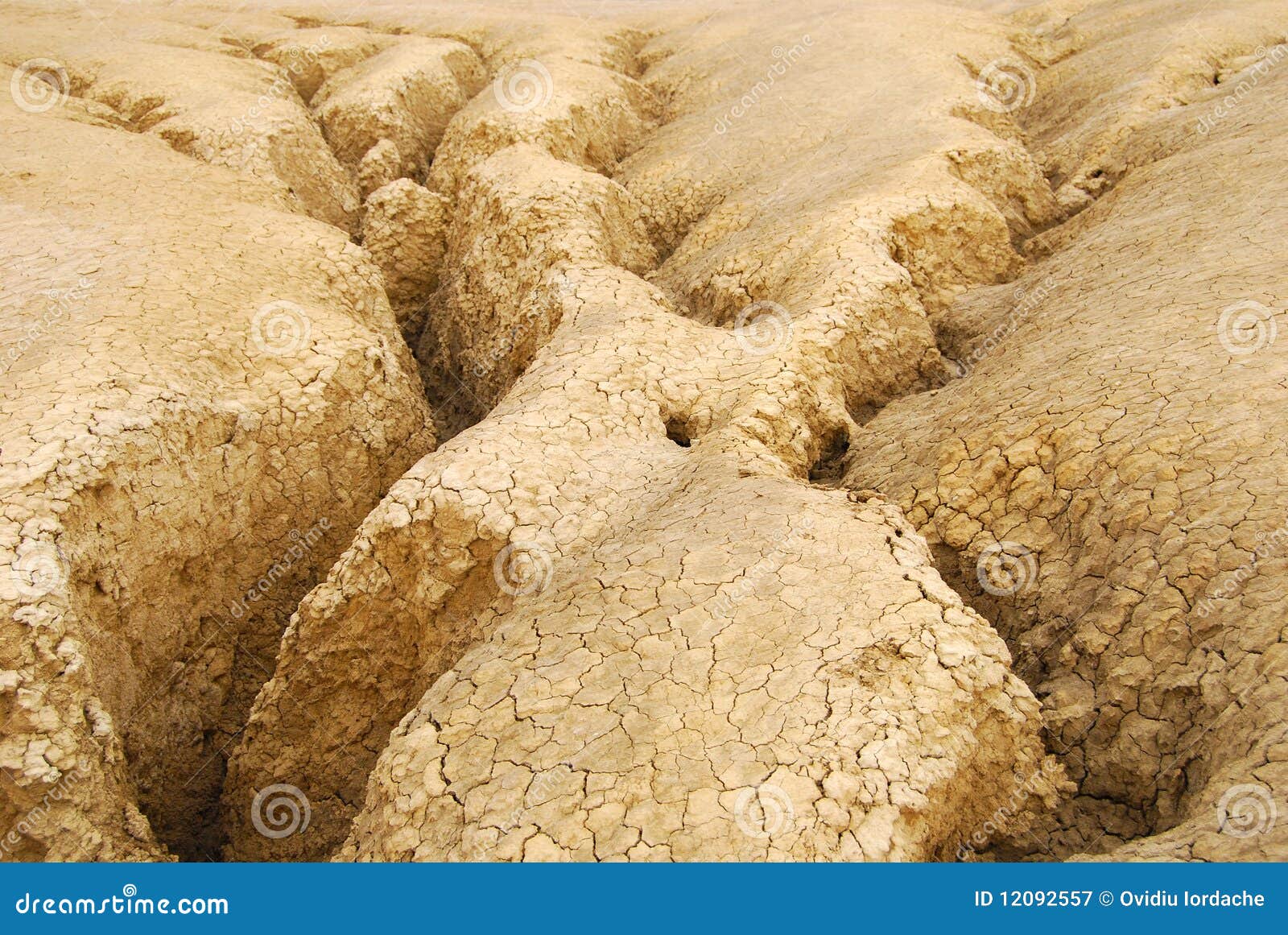 Arid ground / cracked land stock image. Image of park - 12092557