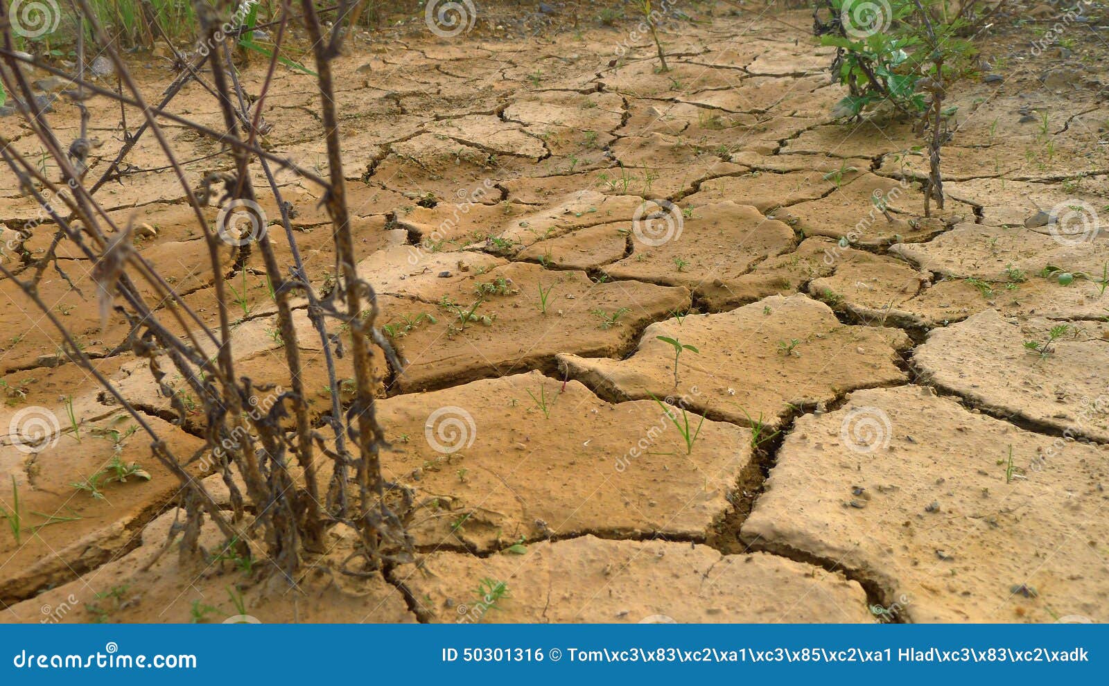 Arid ground stock photo. Image of earth, ground, sucho - 50301316