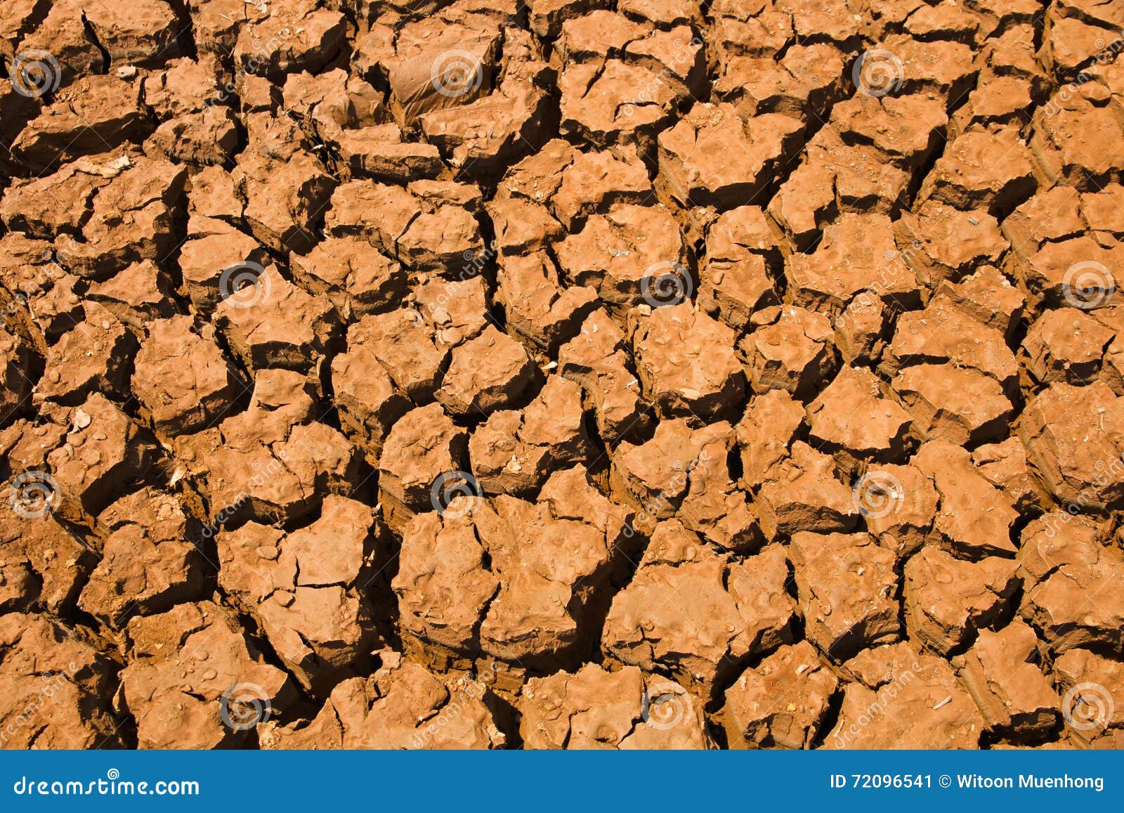 Arid Ground Texture Stock Image | CartoonDealer.com #89252623