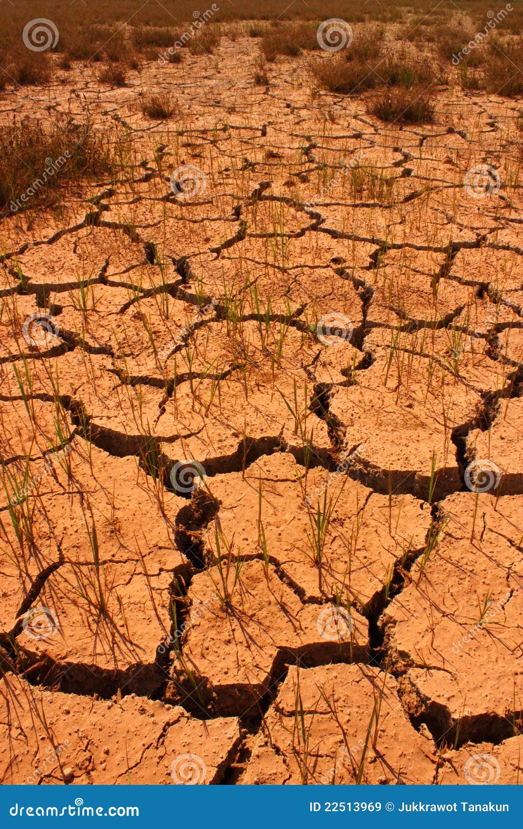 Arid land. stock image. Image of closeup, climate, drain - 22513969