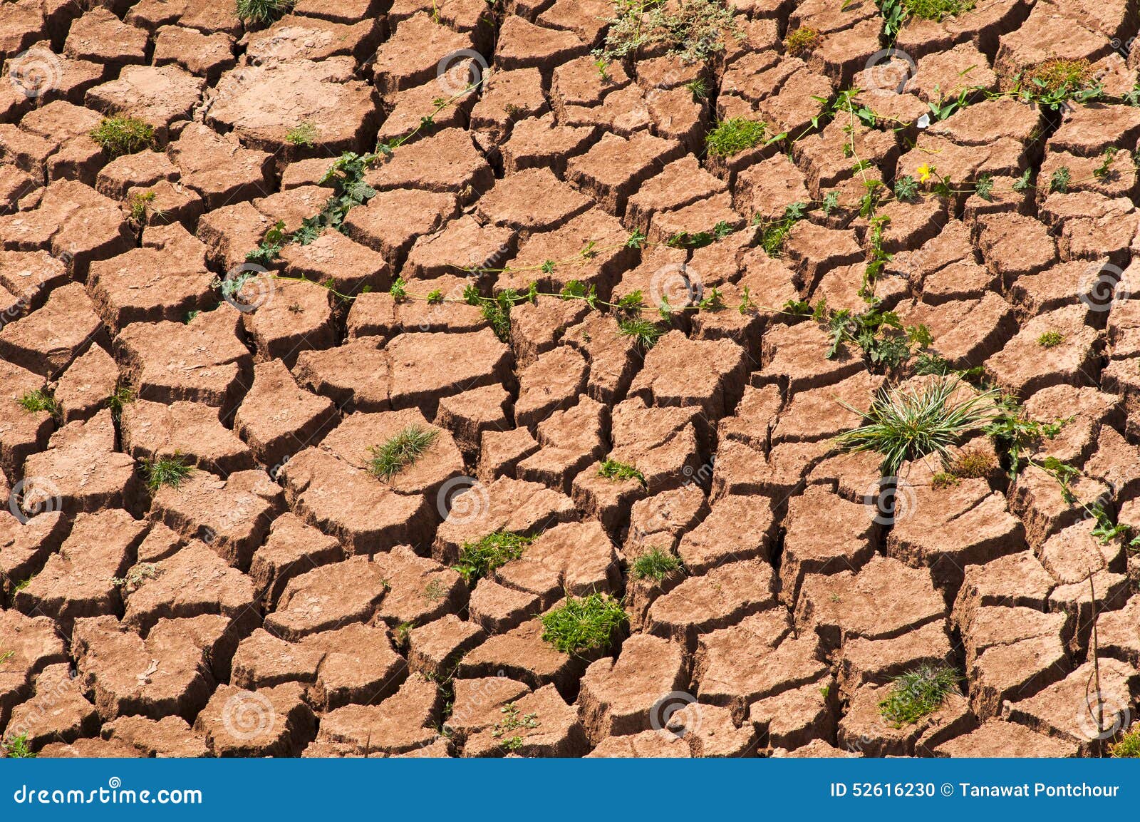 Arid land stock photo. Image of empty, abstract, gulp - 52616230
