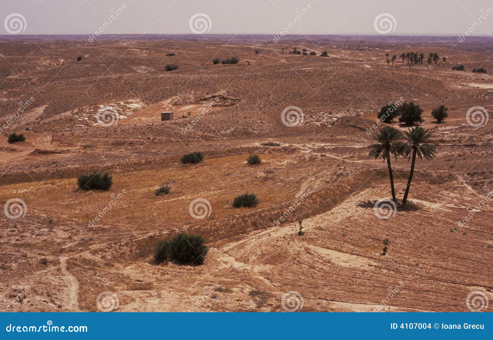 Arid landscape stock photo. Image of sahara, landscape - 4107004