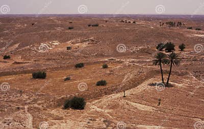 Arid landscape stock photo. Image of sahara, landscape - 4107004