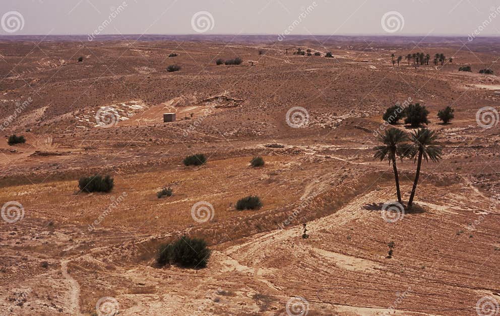 Arid landscape stock photo. Image of sahara, landscape - 4107004