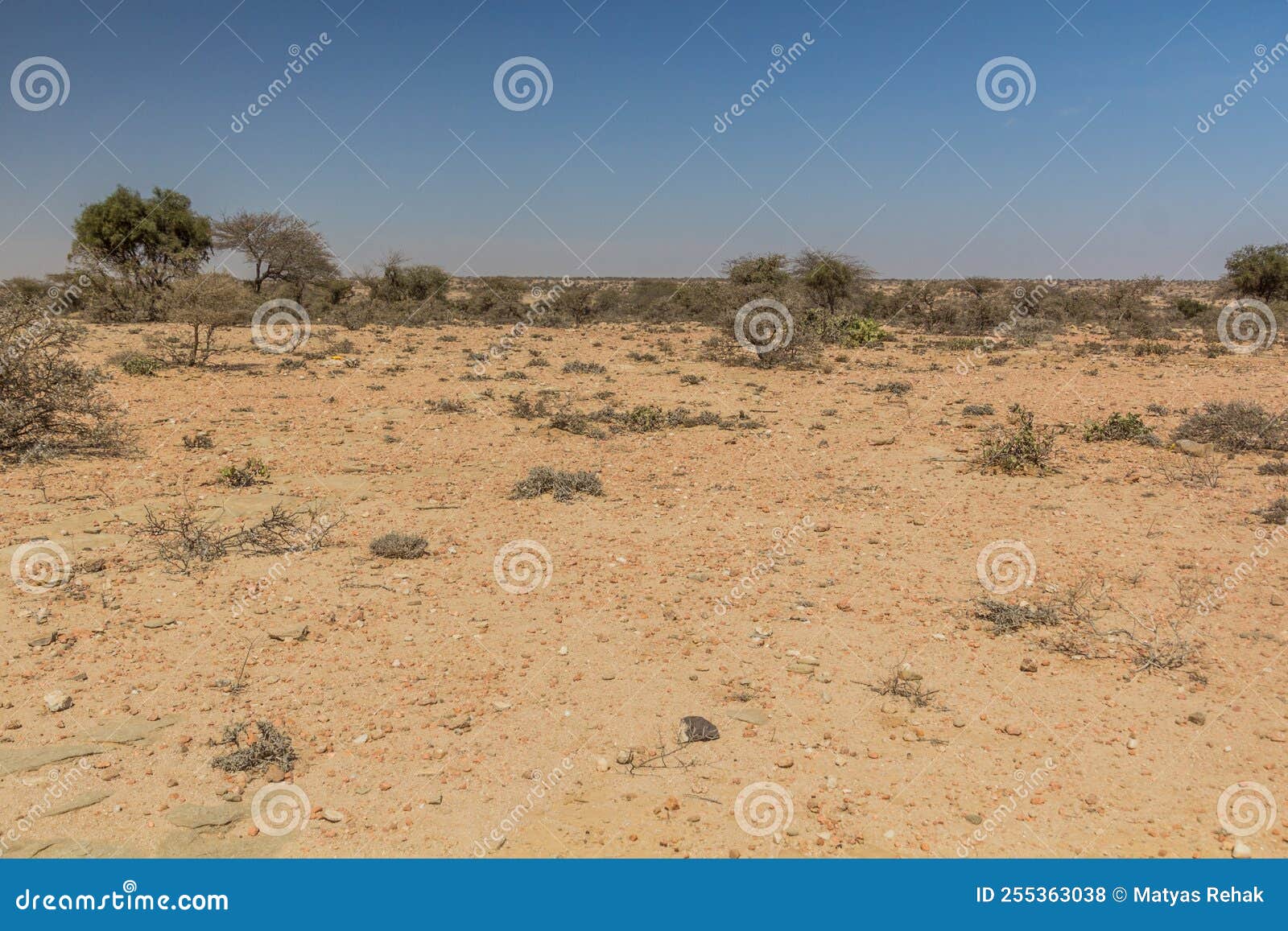 Arid Landscape of Central Somalila Stock Photo - Image of desert ...
