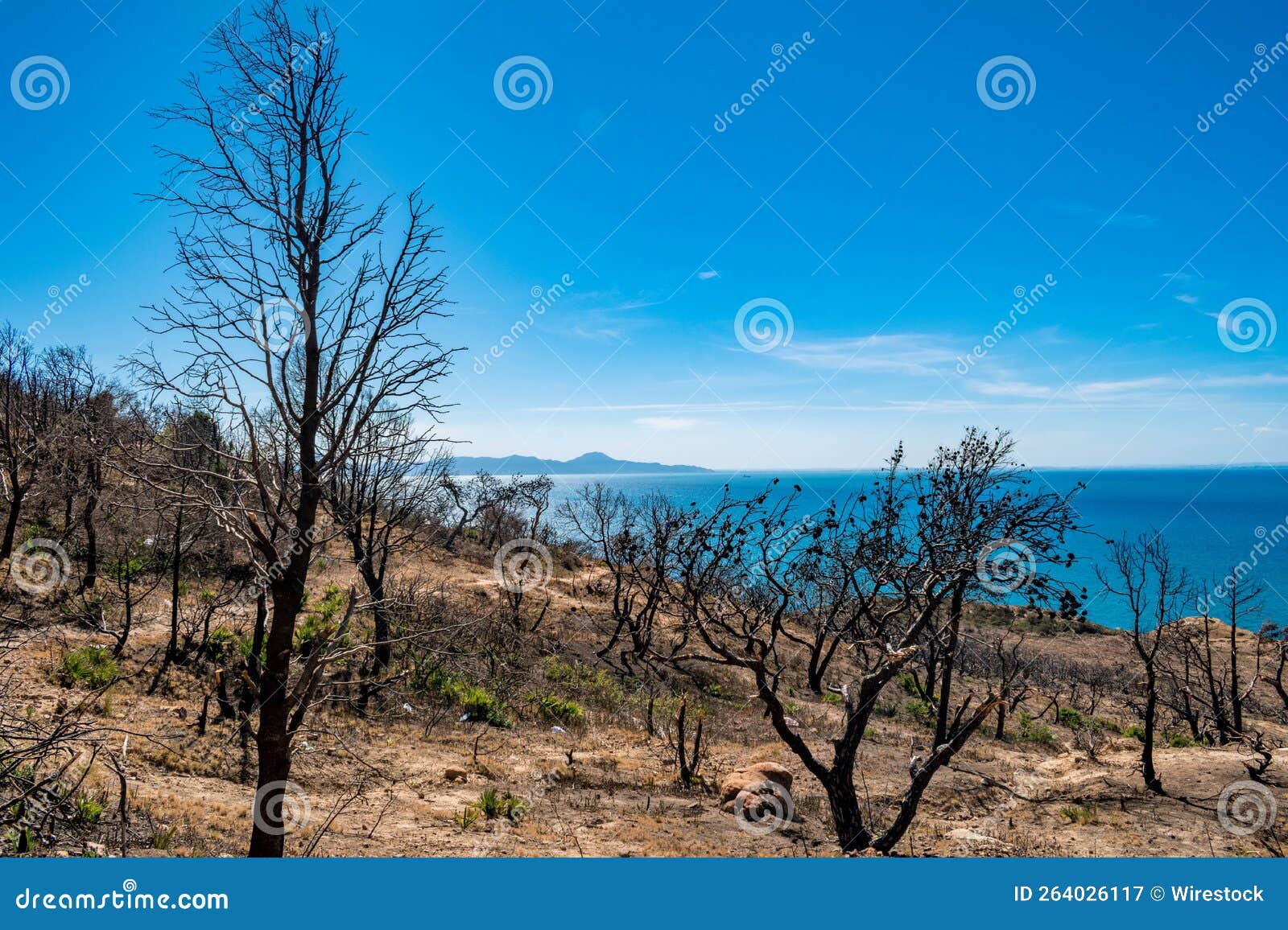Arid Mountaintop with Trees on the Coast of Korbous, Tunisia Stock ...