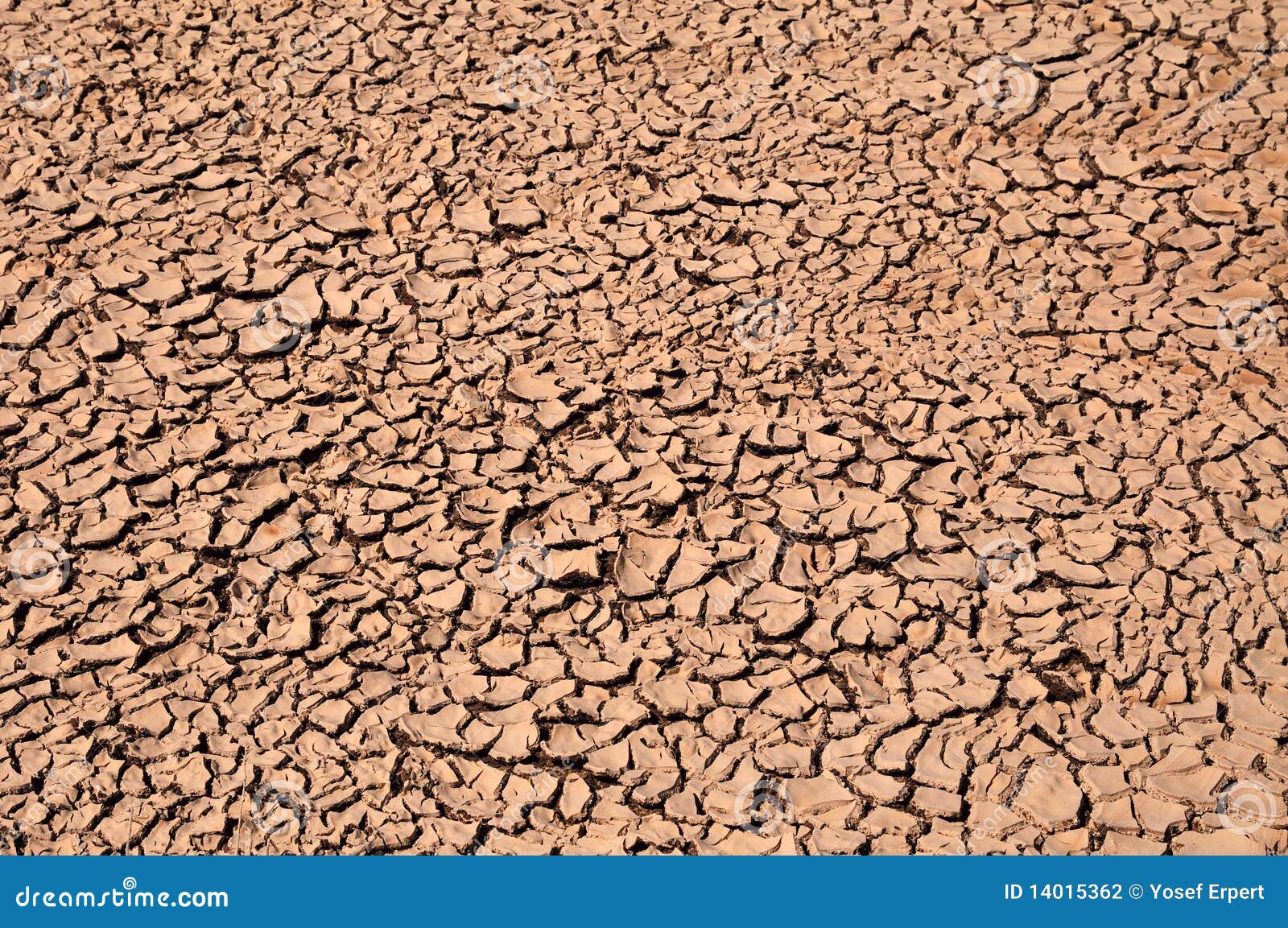Arid Soil stock photo. Image of pattern, soil, earth - 14015362