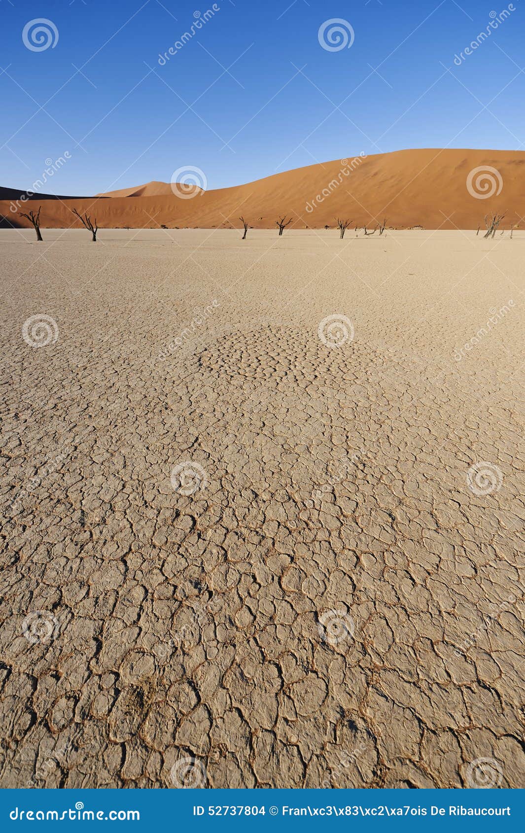 Aridity Stock-Fotos - Laden Sie 3,611 Royalty-Free Fotos herunter