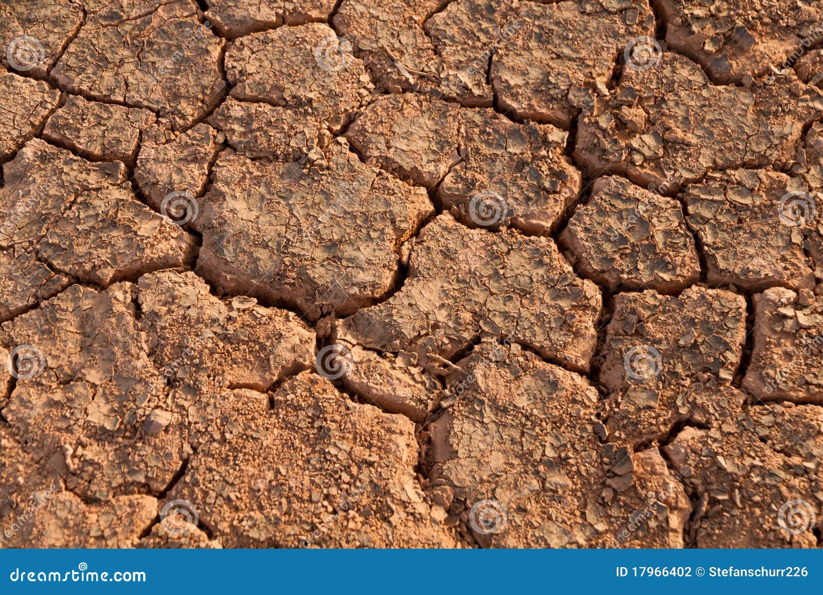 Aridity in a desert stock photo. Image of travel, flute - 17966402