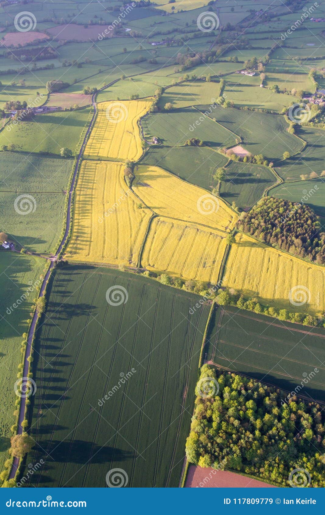Ariel View of Fields and Hedgerows Stock Image - Image of fields ...