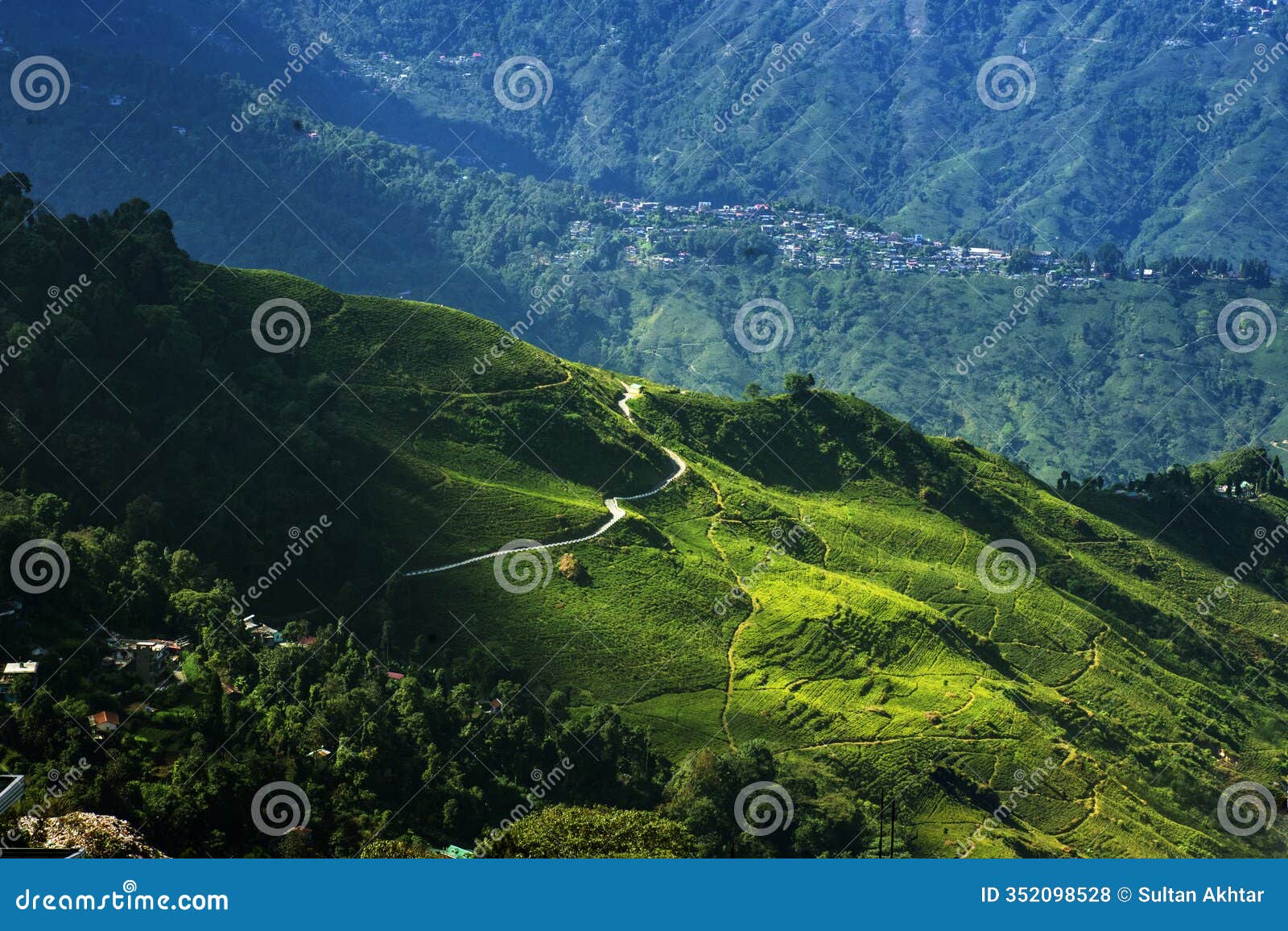 Ariel View of Bijanbari Tea Estates, Darjeeling Stock Photo - Image of ...