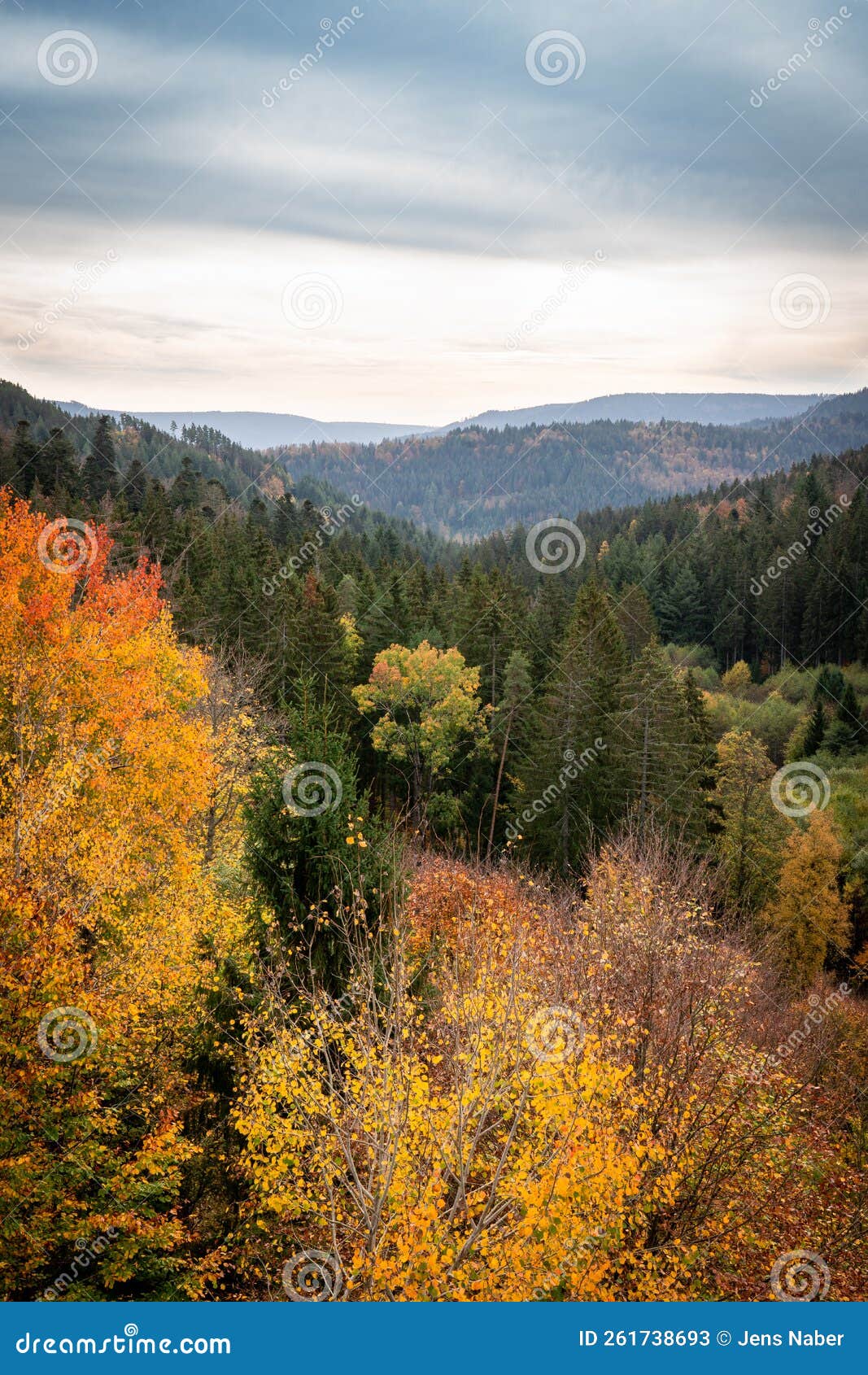 Ariel View of the Black Forest in Autumn with Cloudy Sky Stock Image ...