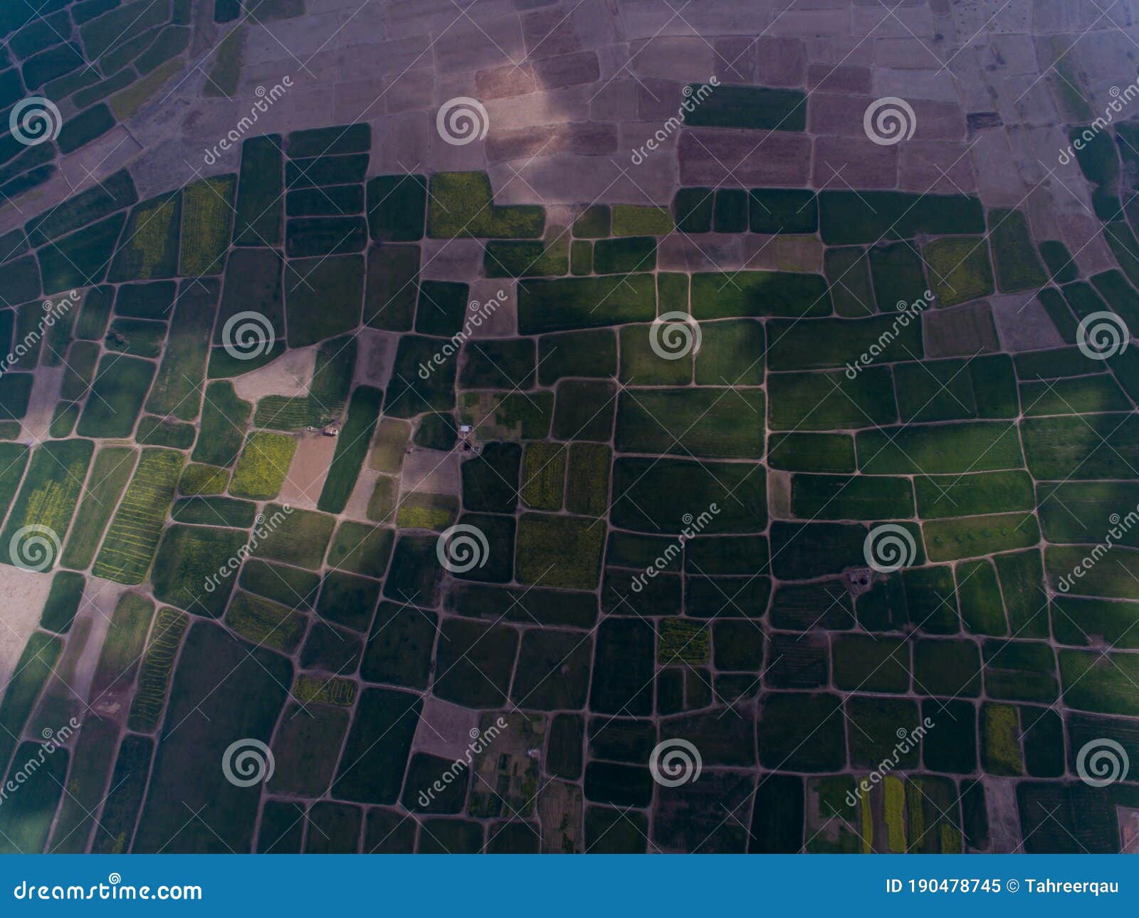 Ariel view of green fields stock image. Image of floor - 190478745