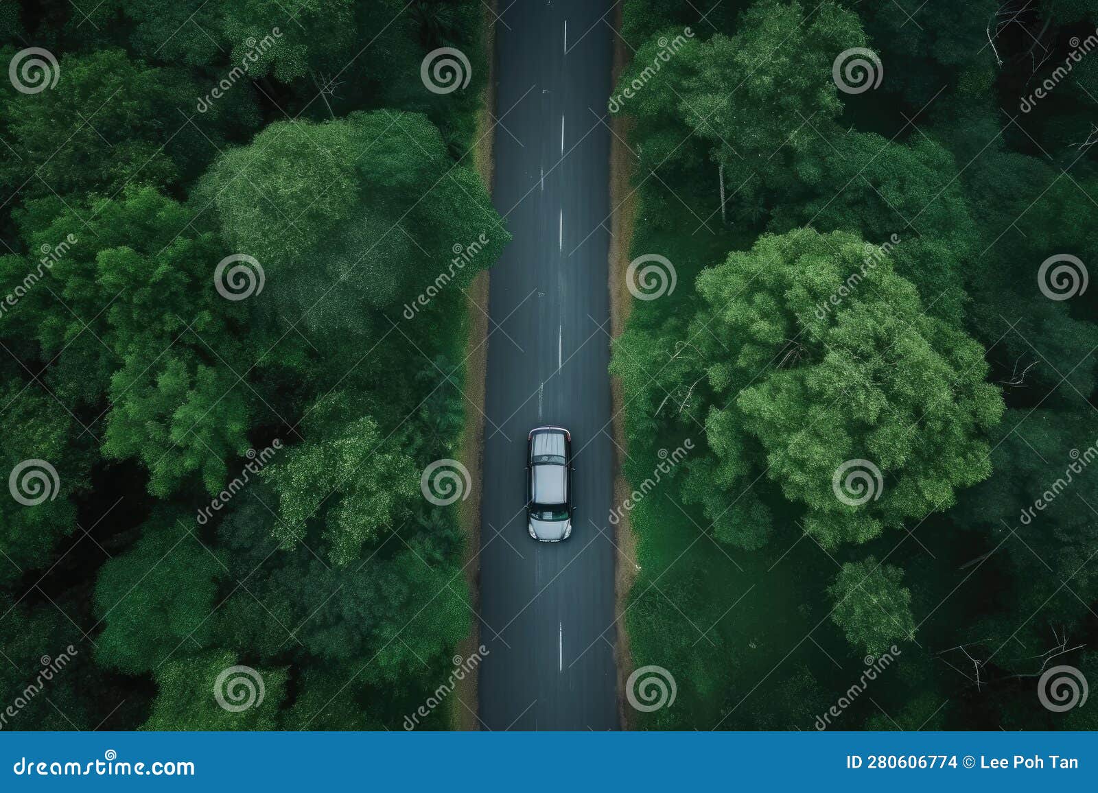 Ariel View of the Road in the Forest Stock Photo - Image of darkness ...