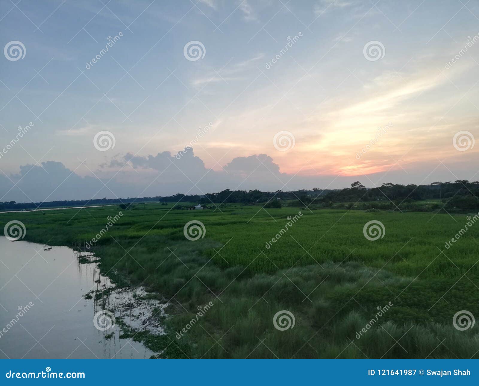 Natural stock image. Image of aril, site, river, natural - 121641987