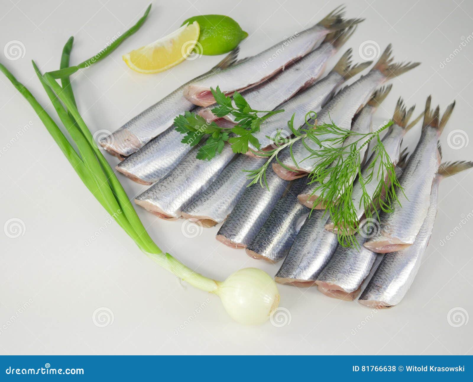 Aringhe dei pesci freschi fotografia stock. Immagine di pesci - 81766638