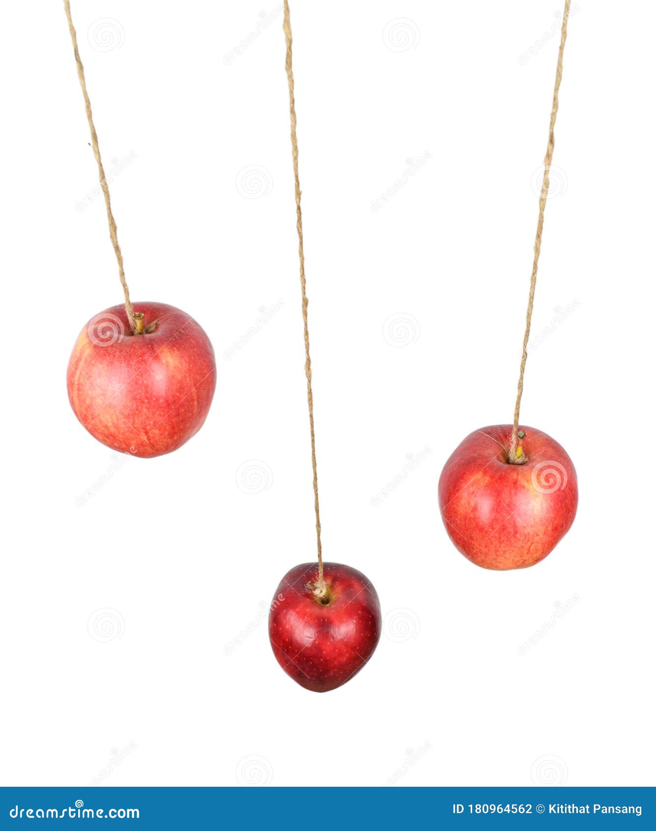 Arise View of Three Hanging Apples. Stock Photo - Image of farm ...