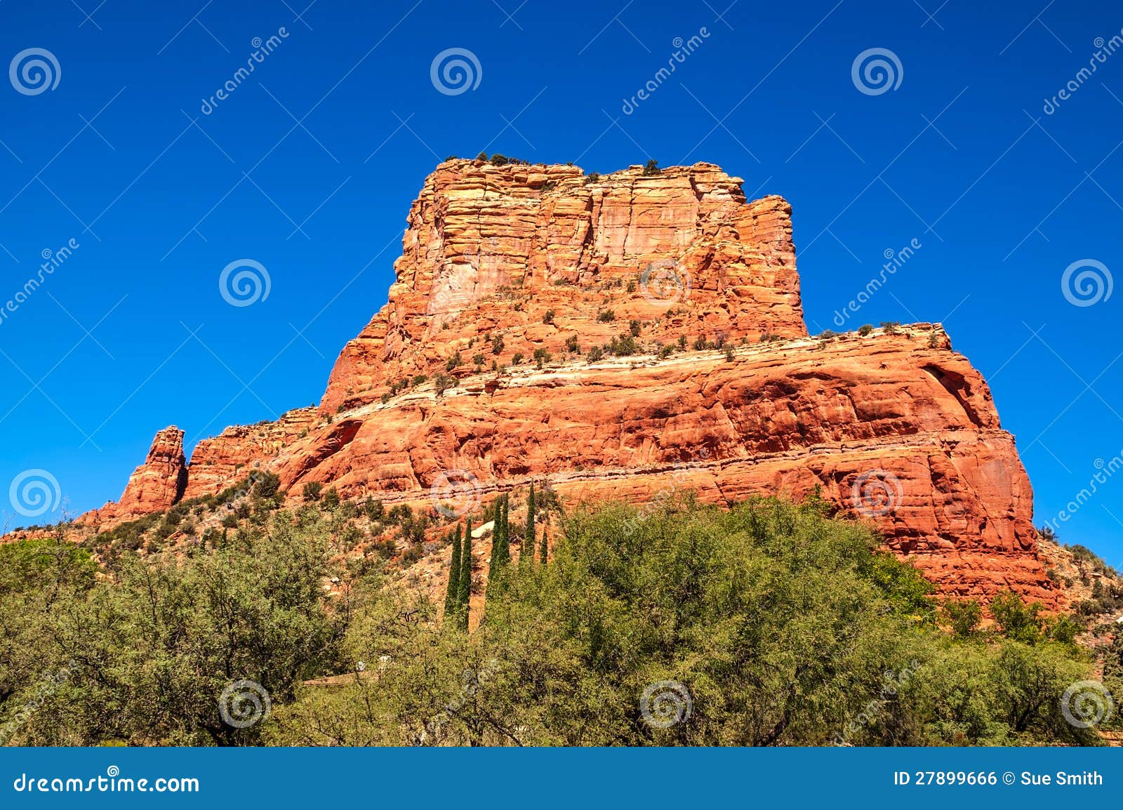Arizona Color stock photo. Image of contrast, trees, beauty - 27899666