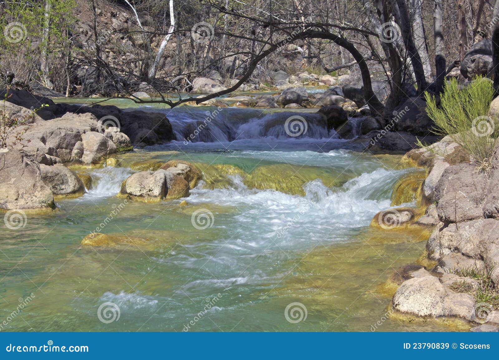 Arizona creek stock image. Image of arizona, creek, river - 23790839