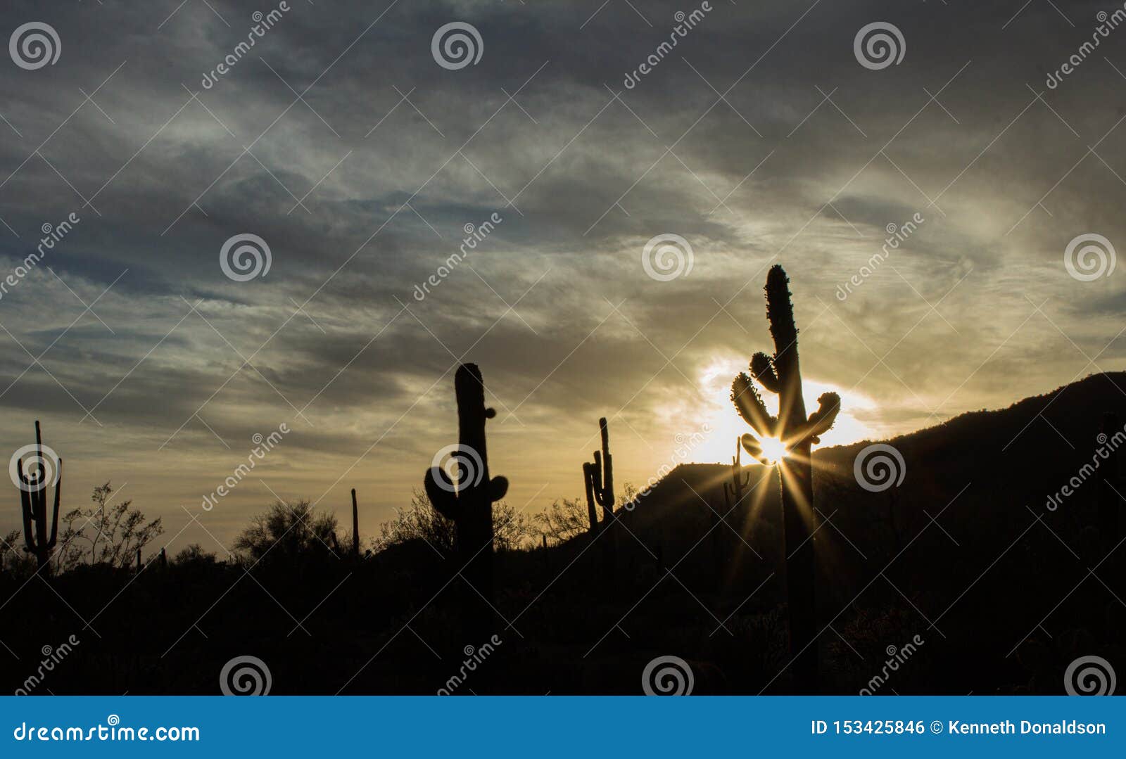 Arizona Desert Cactus Silhouette with Sunburst at Sunset #3 Stock Photo ...