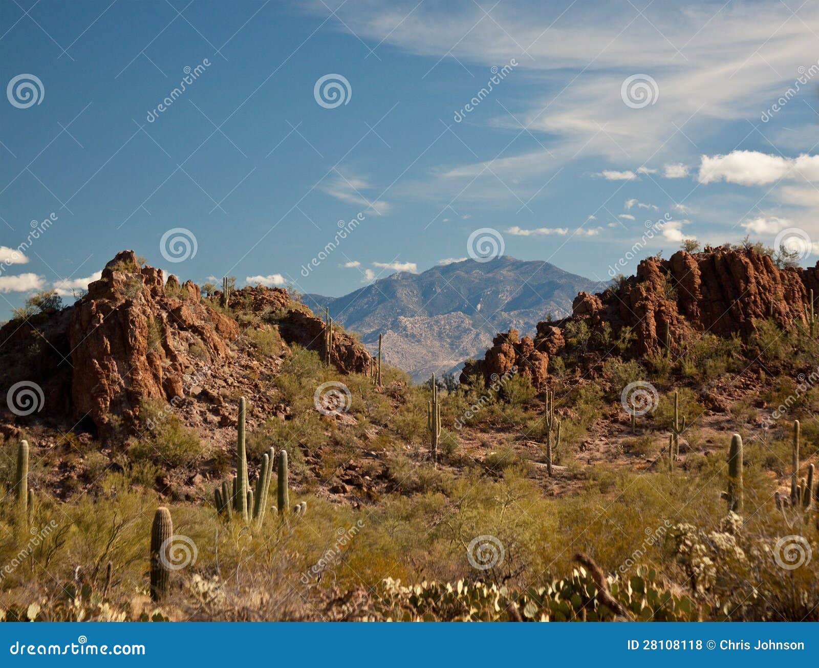 Arizona Desert Landscape stock photo. Image of scene - 28108118