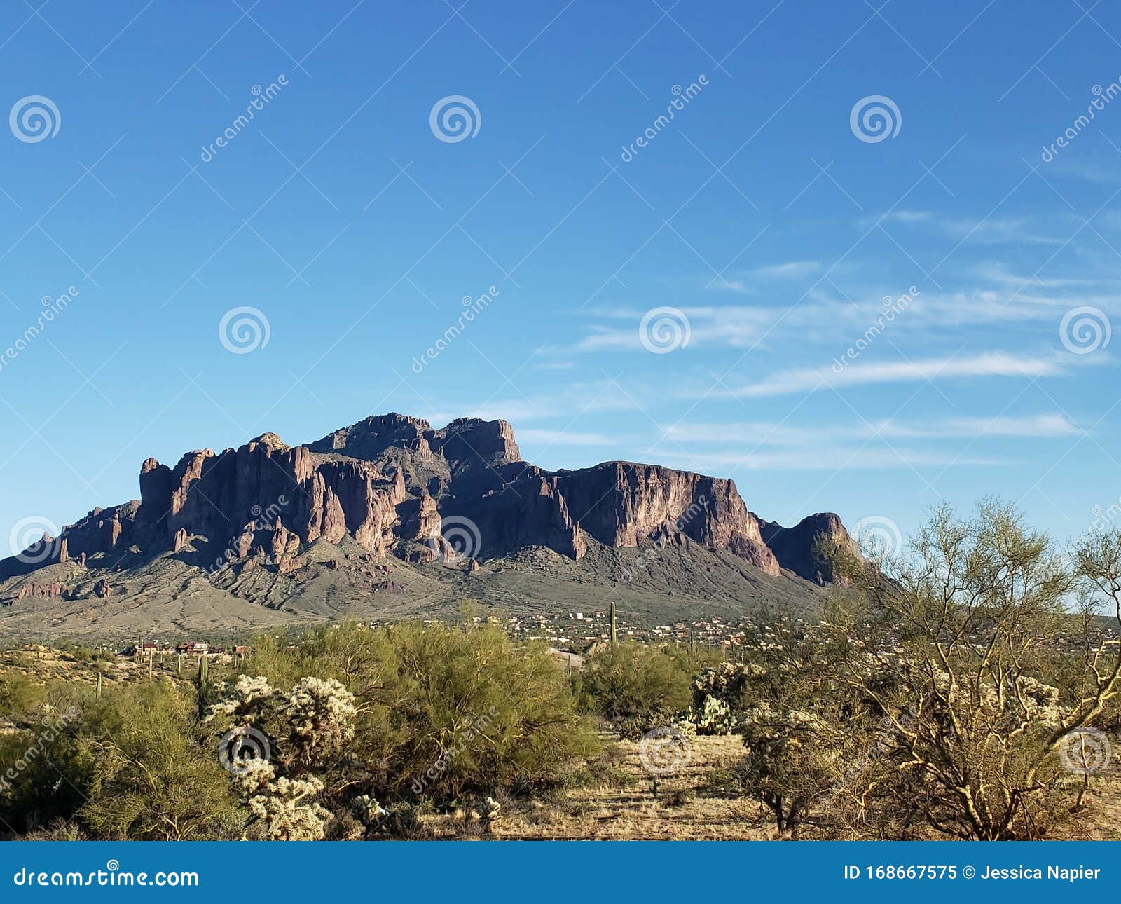 Arizona Desert Life Superstition Mountains Stock Image - Image of life ...