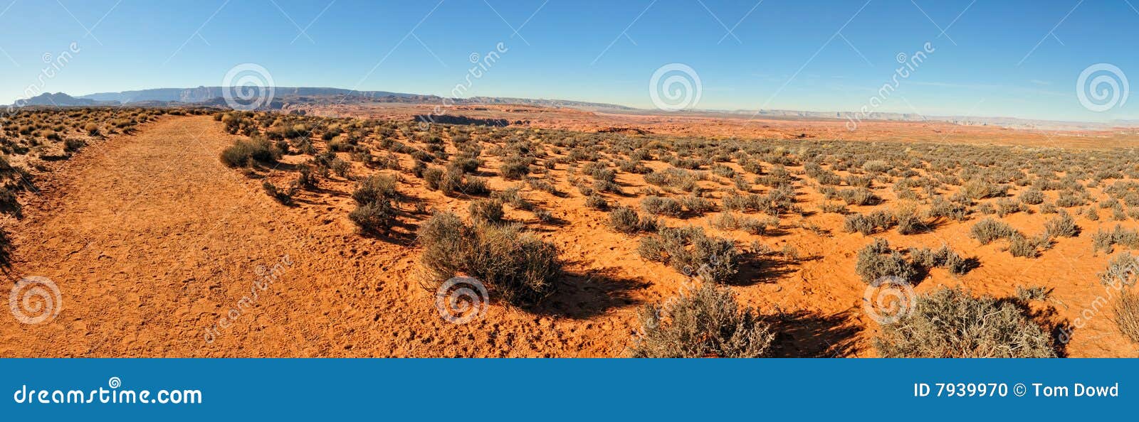 Arizona desert panoramic stock photo. Image of angled - 7939970