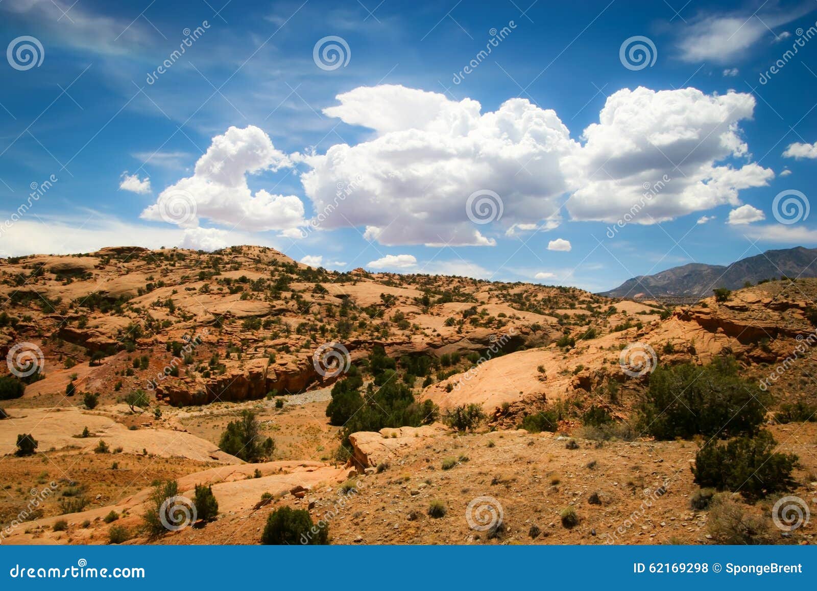 Arizona Desert Scene stock photo. Image of mitten, american - 62169298