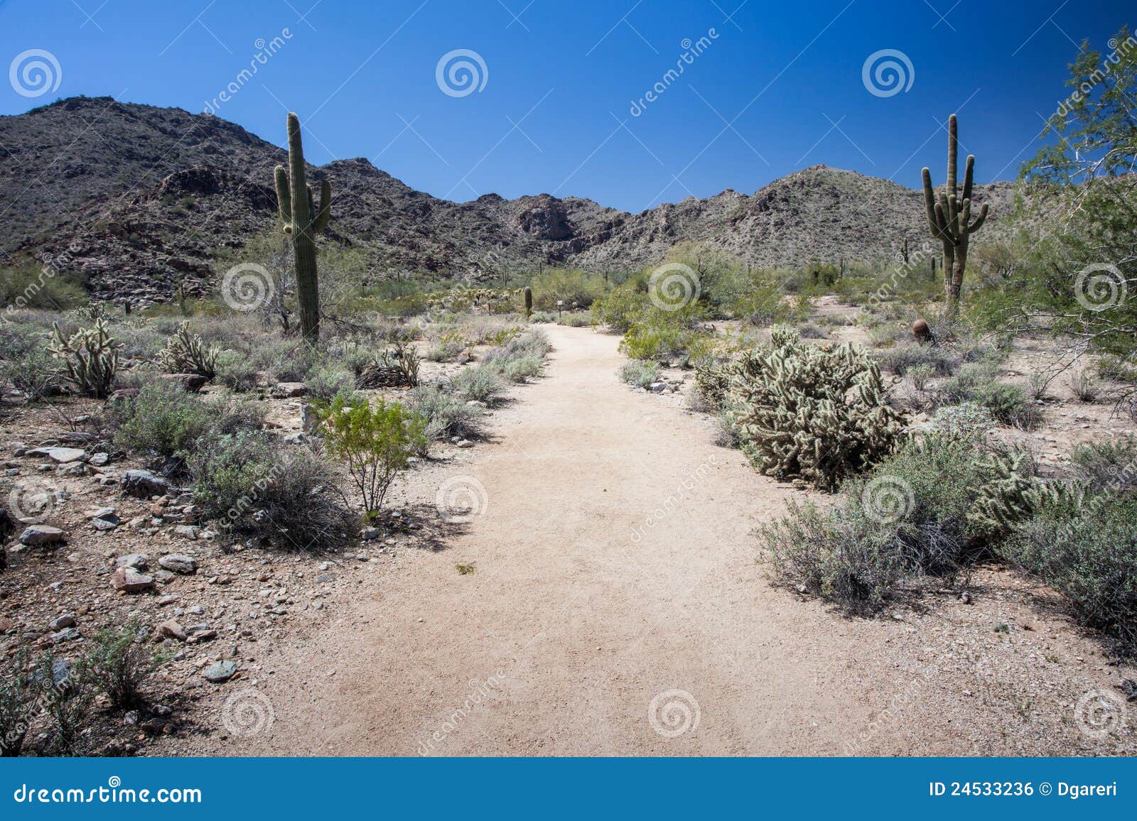 Arizona Desert Scenery stock photo. Image of recreation - 24533236