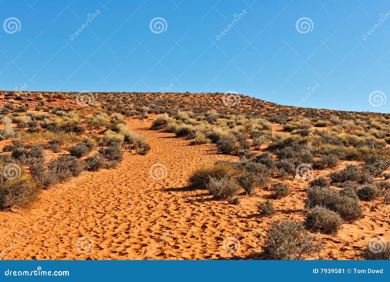 Arizona desert scenic stock image. Image of colourful - 7939581