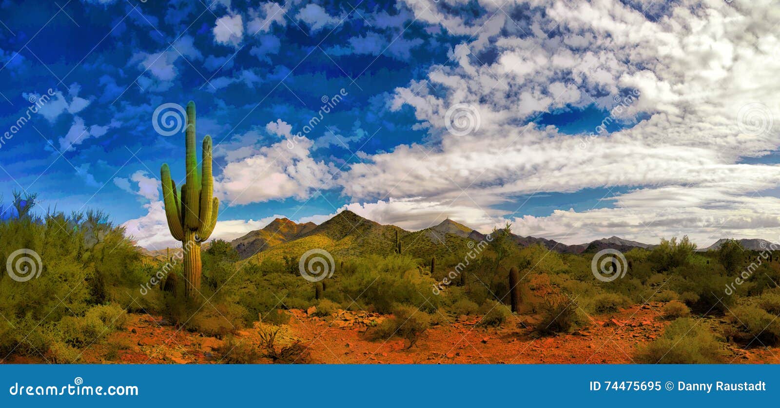 Arizona Desert in the Springtime Stock Image - Image of skies, sand ...