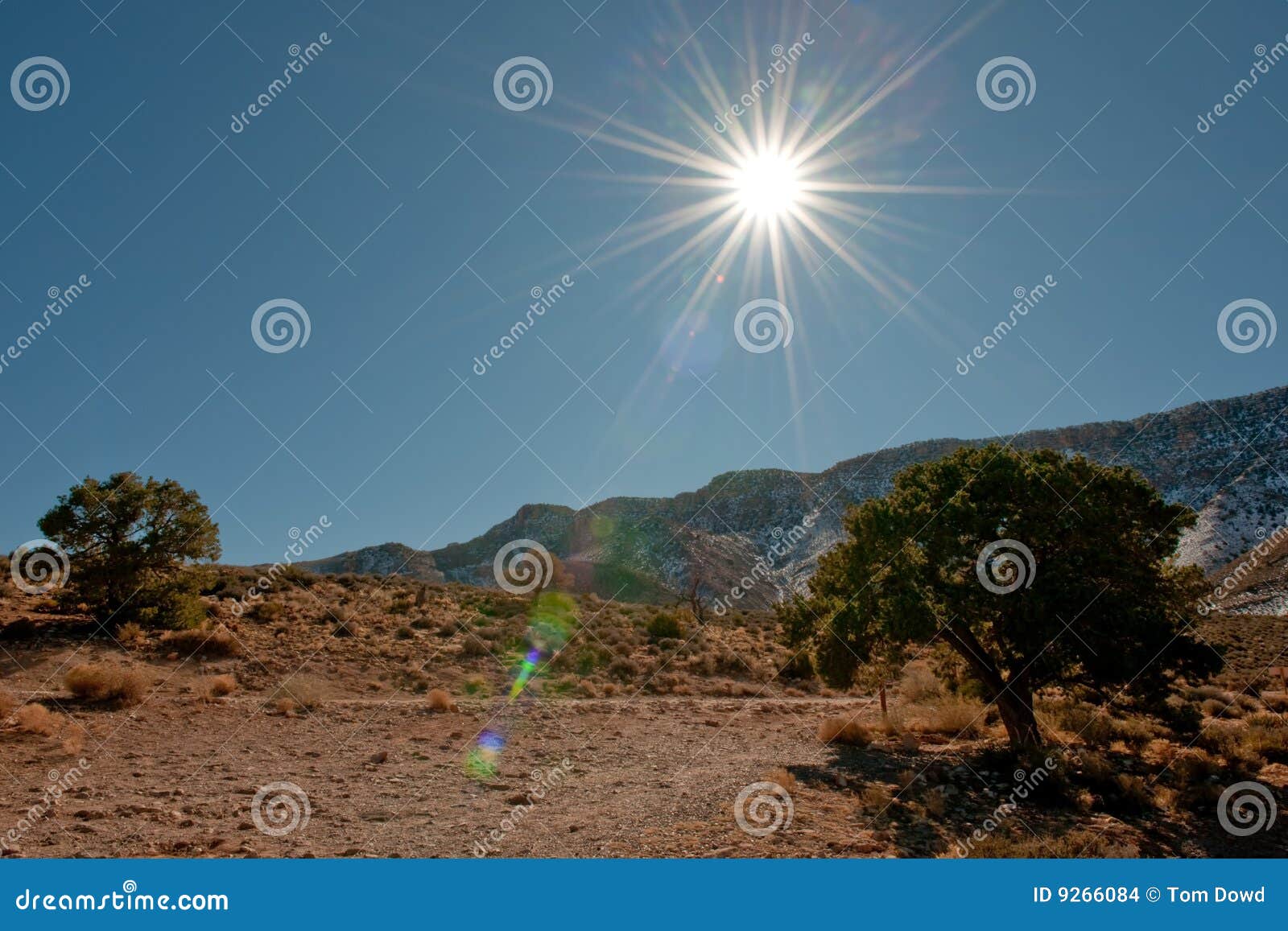 Arizona Desert Sun stock photo. Image of pretty, bright - 9266084