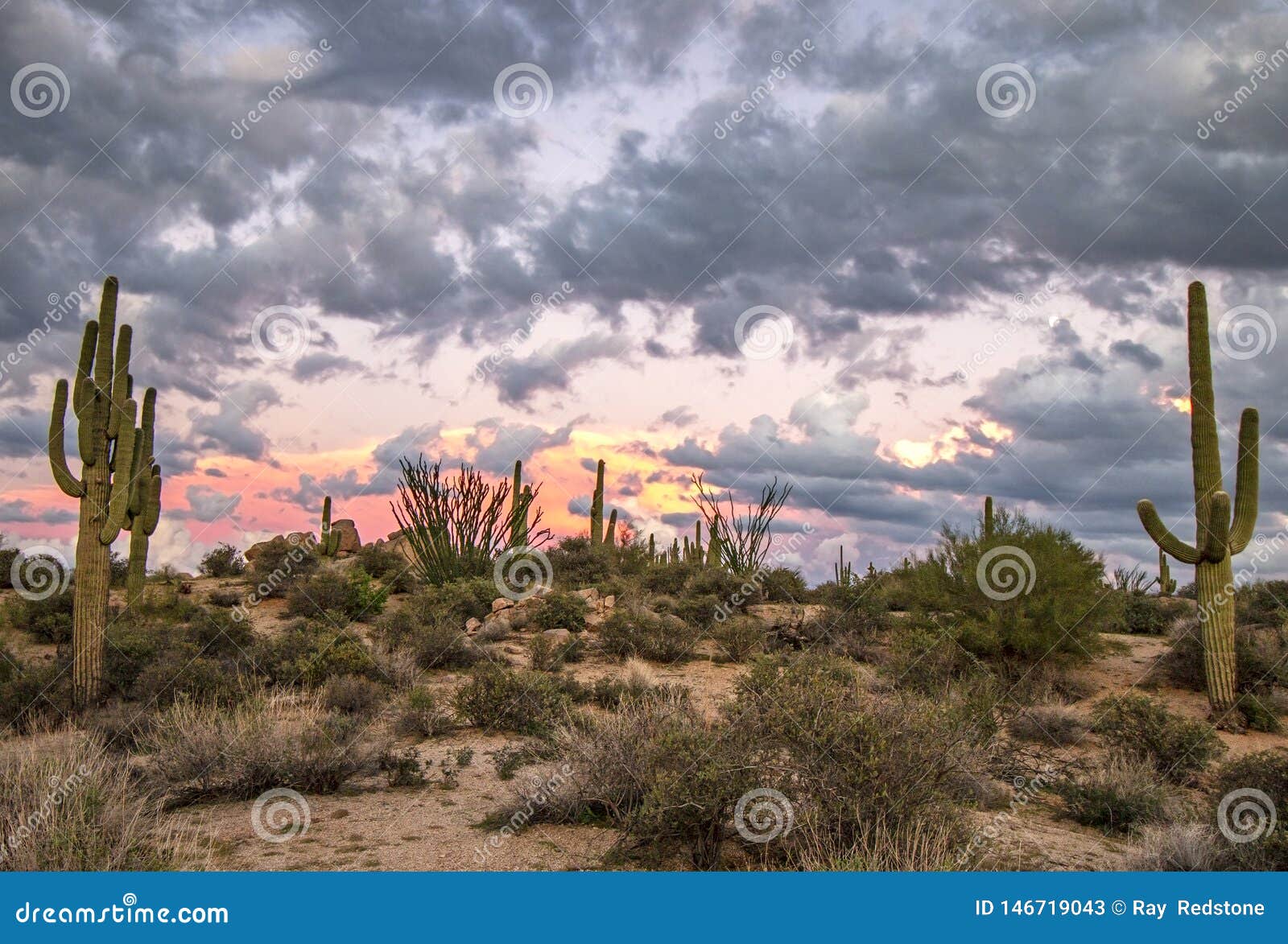 Moody Arizona Desert Sunset in Phoenix Area Stock Image - Image of ...