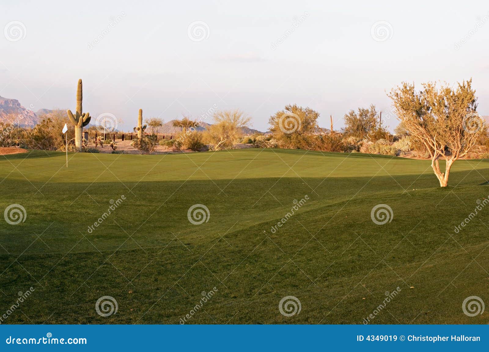 Arizona golf course stock image. Image of hole, trap, sports - 4349019