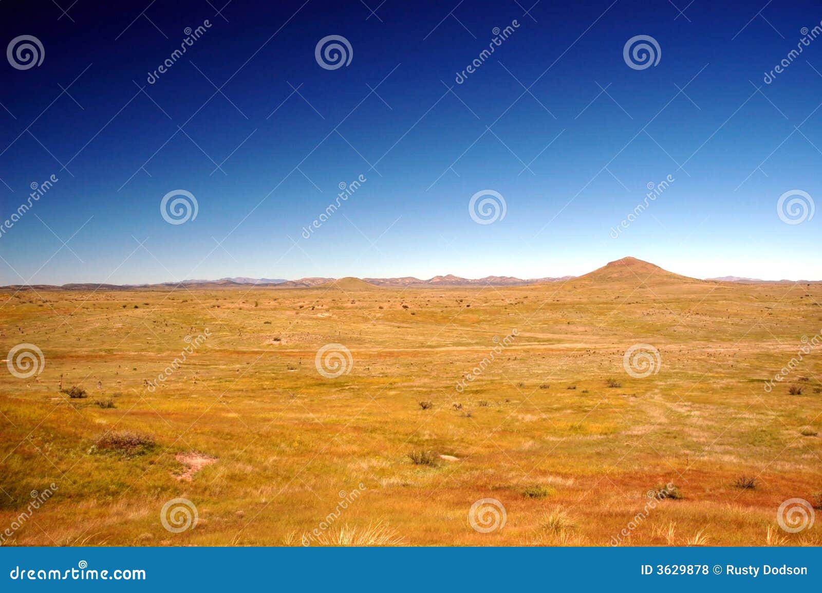 Arizona Grasslands stock photo. Image of blue, plains - 3629878