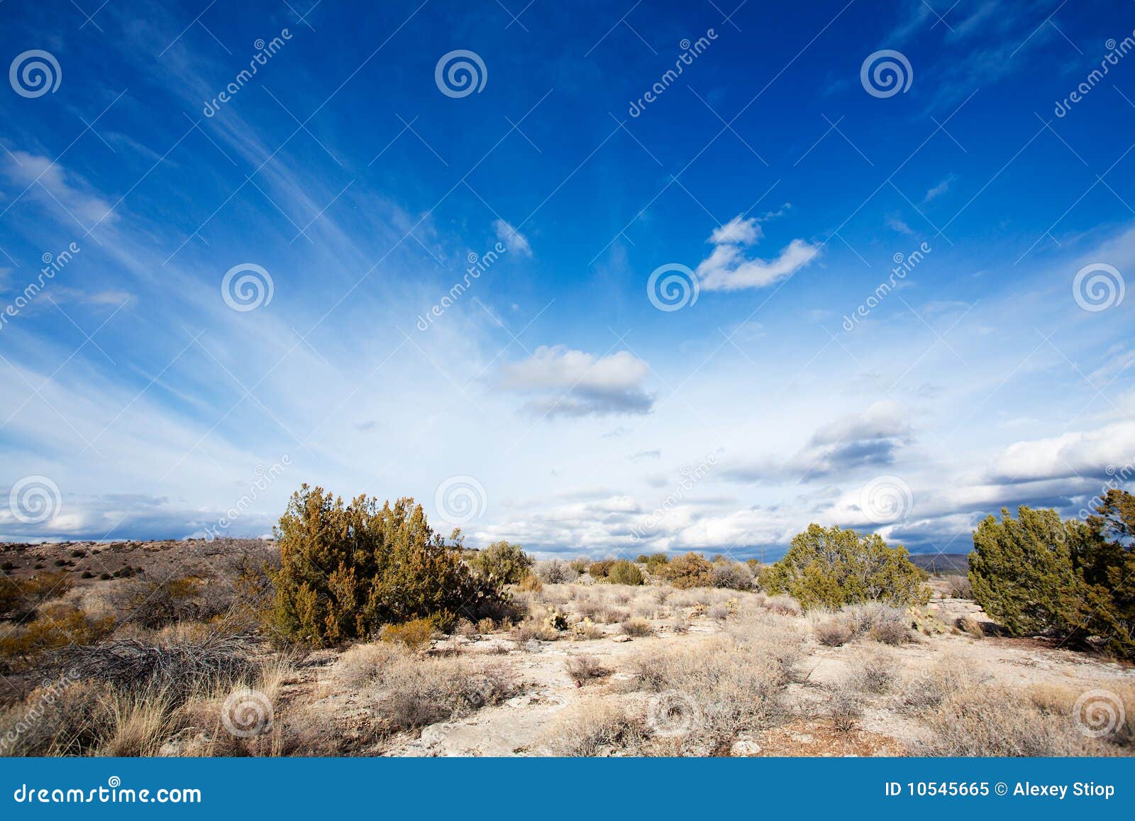 Arizona high desert stock image. Image of brush, desolate - 10545665