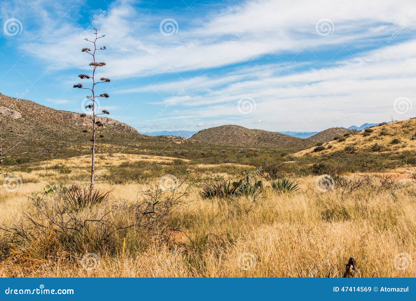 Arizona High Desert stock image. Image of desolate, southwest - 47414569