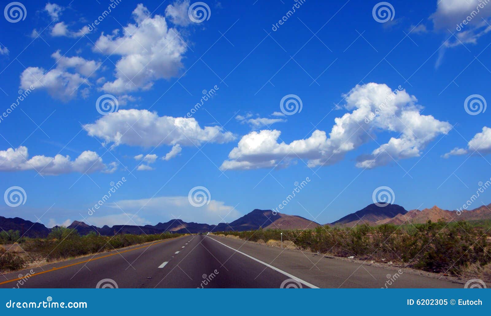 Arizona Highway stock image. Image of terrain, cactus - 6202305