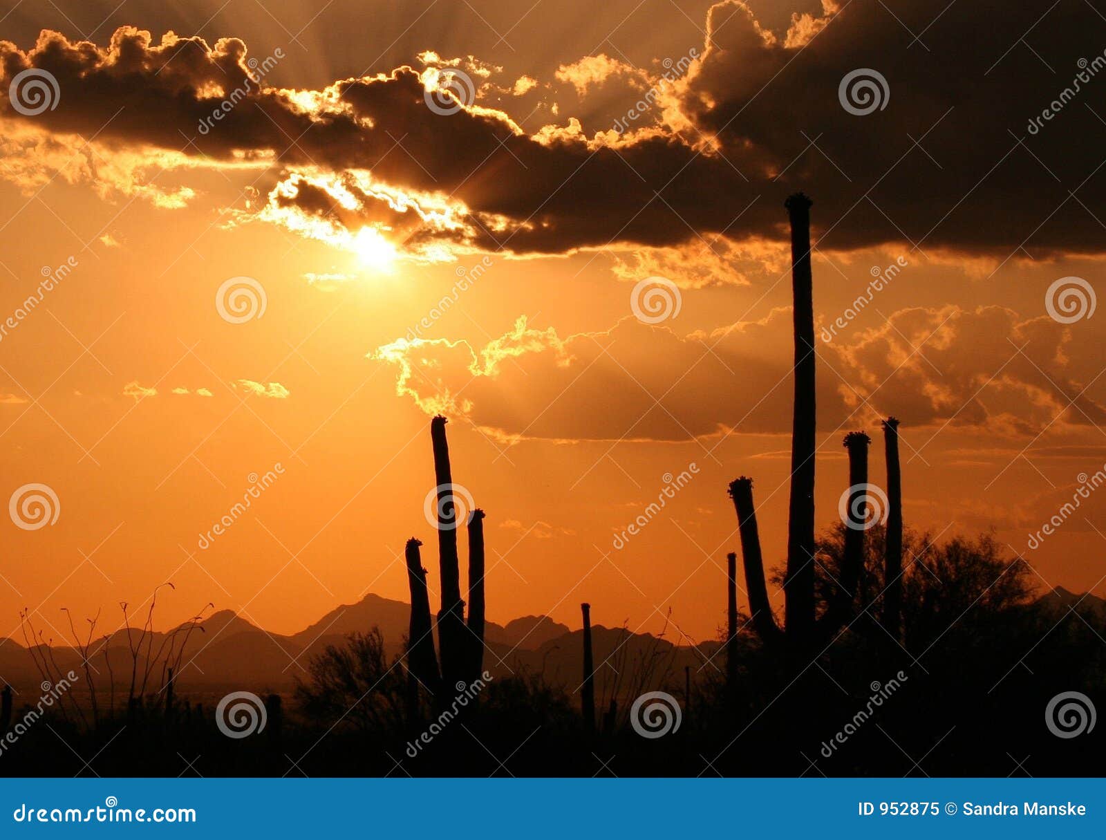 Arizona Hot Sunset stock image. Image of desert, color - 952875