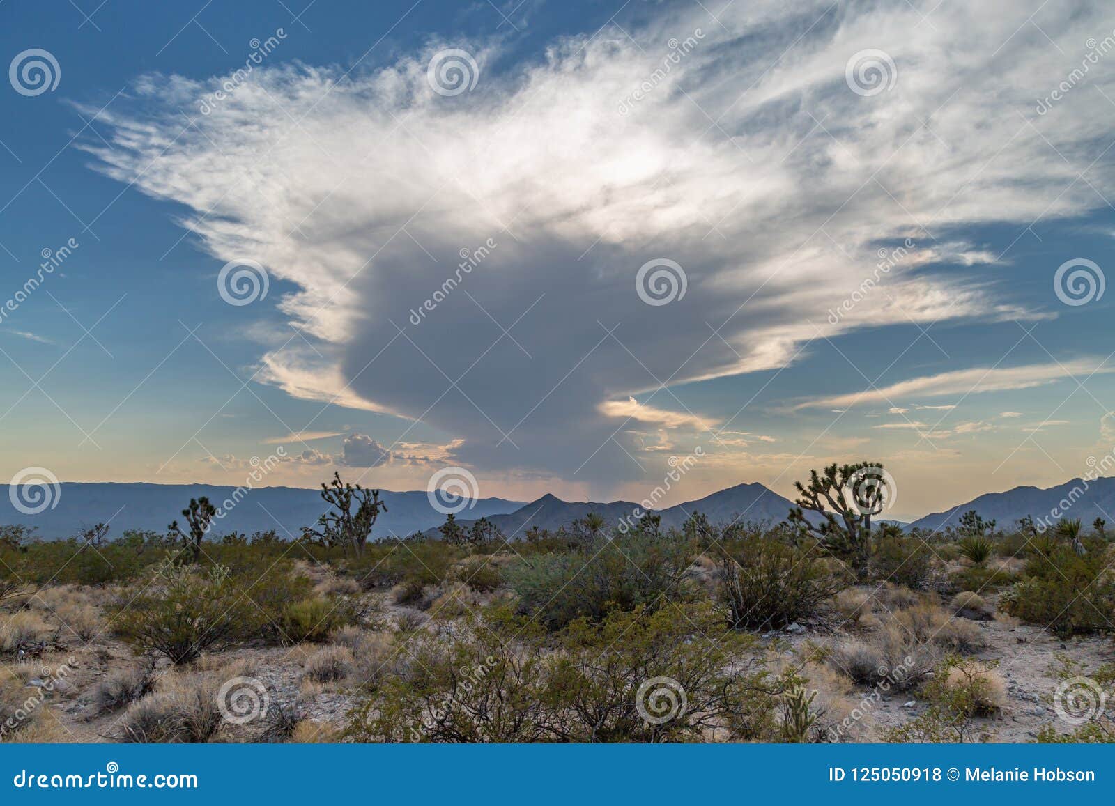 Arizona Landscape at Dusk stock photo. Image of remote - 125050918