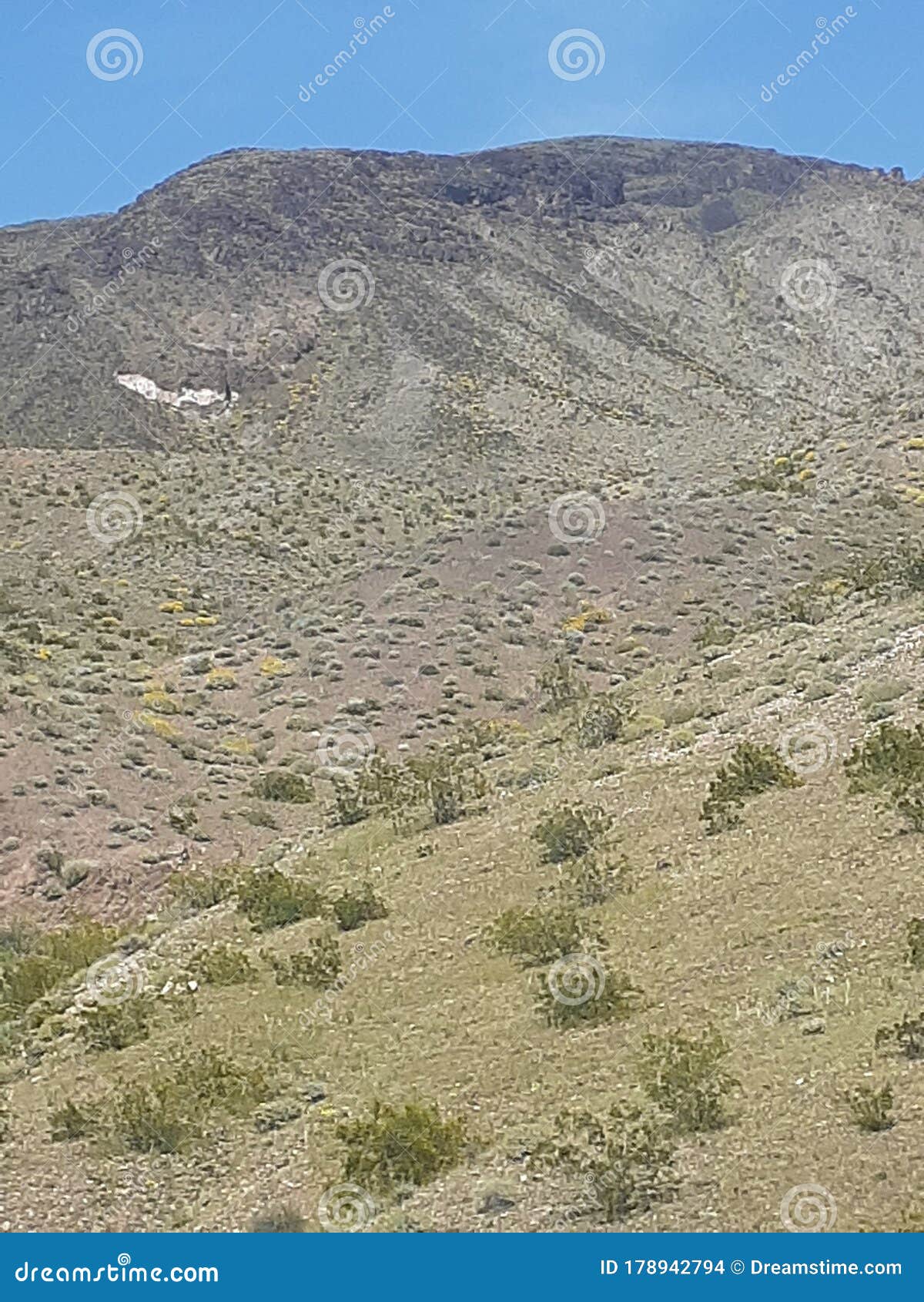 Arizona Mountain life stock photo. Image of life, mountain - 178942794