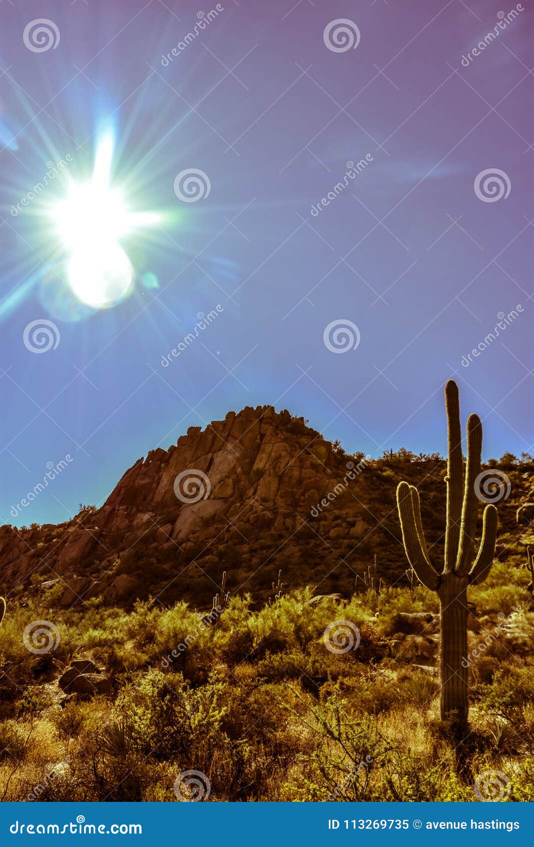 Arizona in November stock image. Image of travel, fall - 113269735