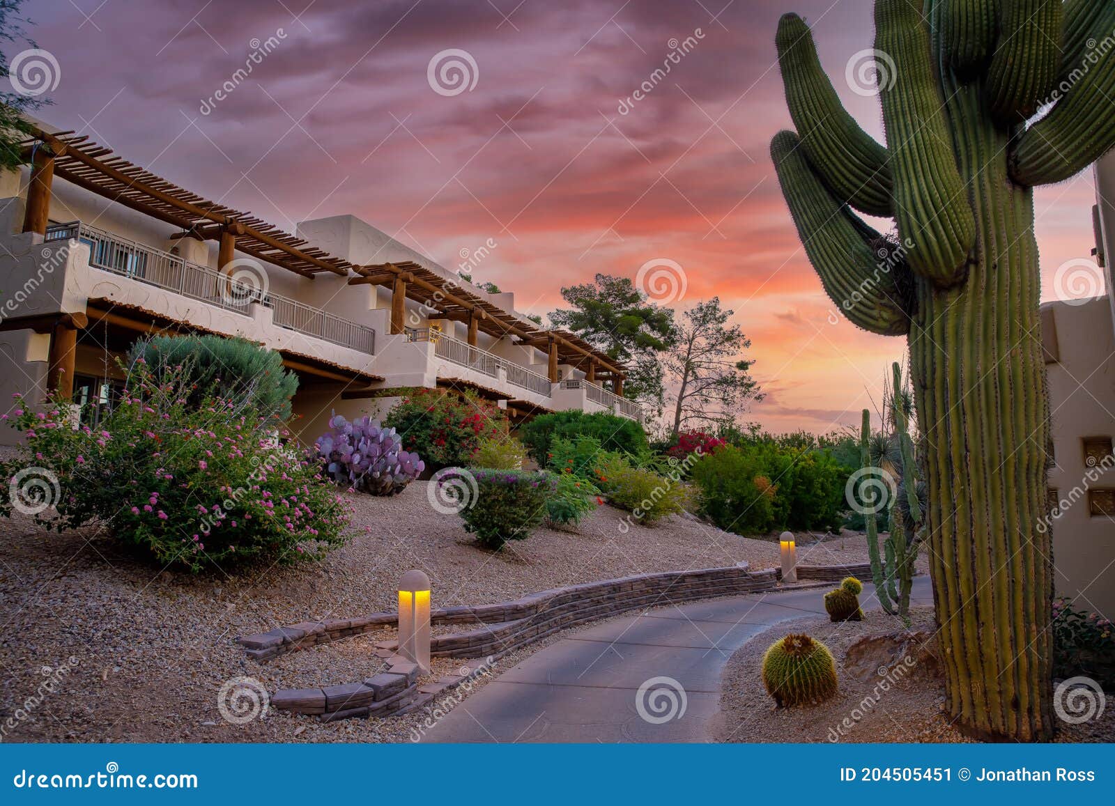 Arizona Resort with Cactus and Sunset Stock Image - Image of desert ...