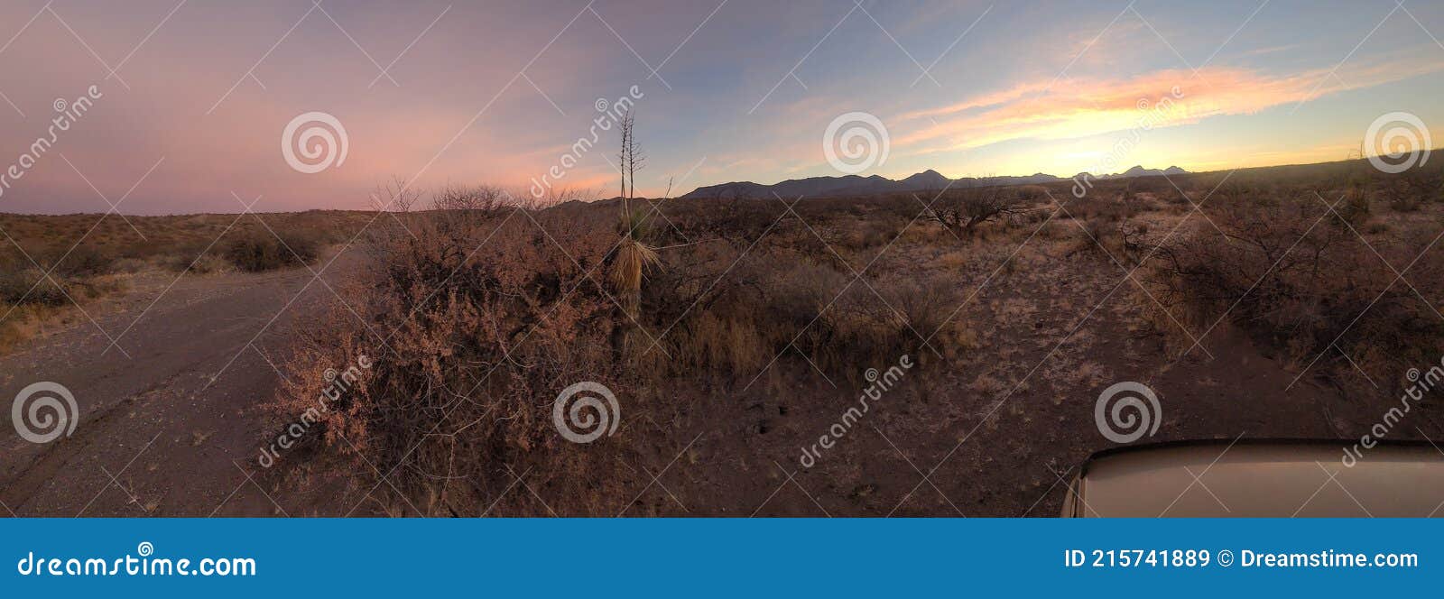 Arizona Rising Sun stock image. Image of wood, nature - 215741889