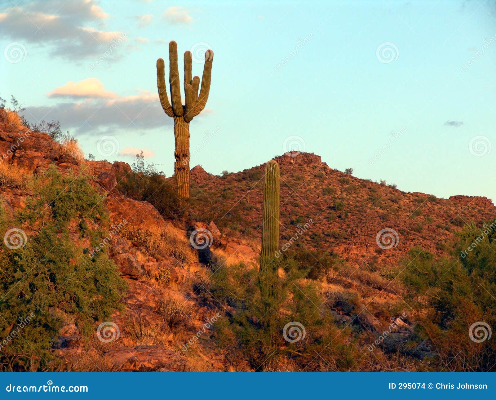 Arizona Scenery stock photo. Image of desert, mountain - 295074
