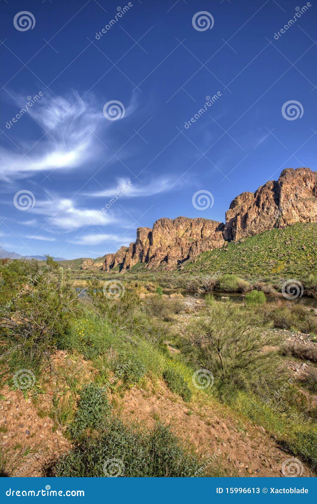 Arizona sky stock image. Image of arizona, mountain, plants - 15996613