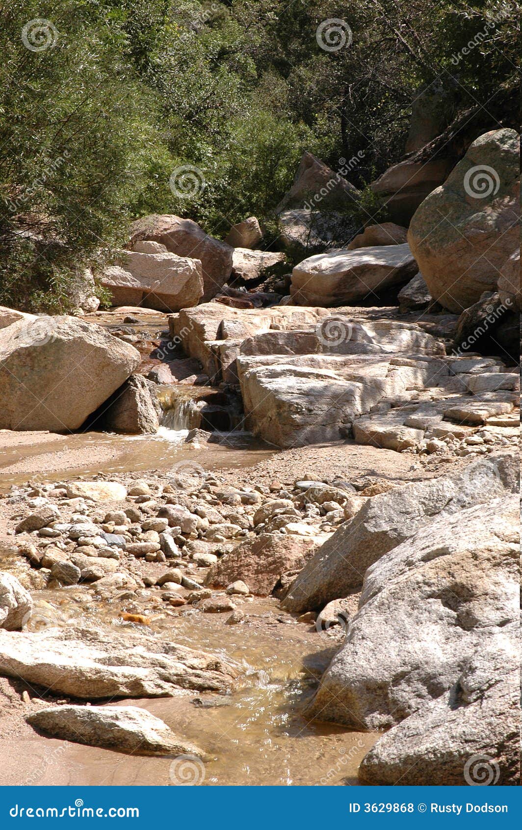 Arizona stream stock photo. Image of daylight, life, running - 3629868