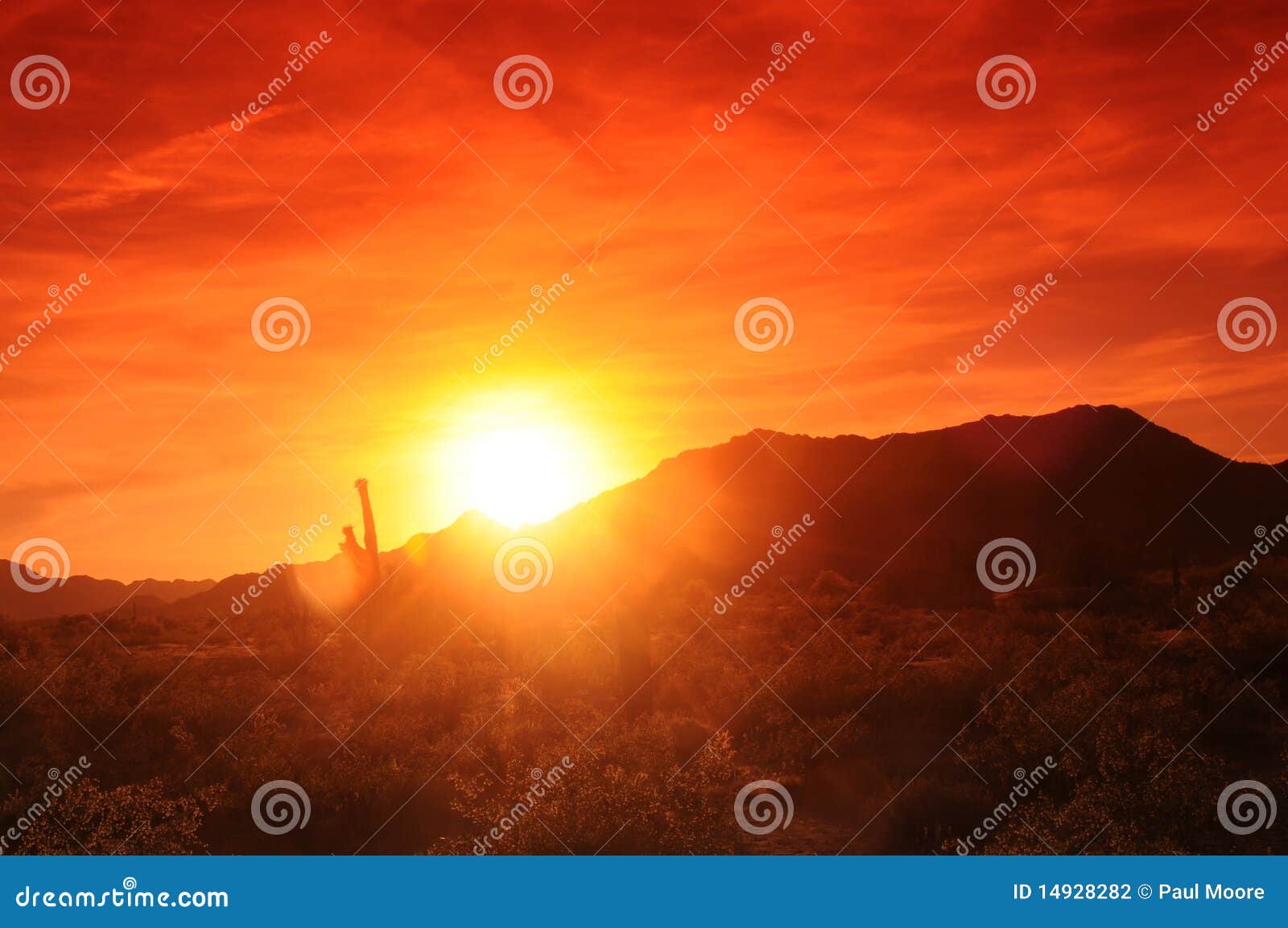 Arizona Sunset stock photo. Image of america, afternoon - 14928282
