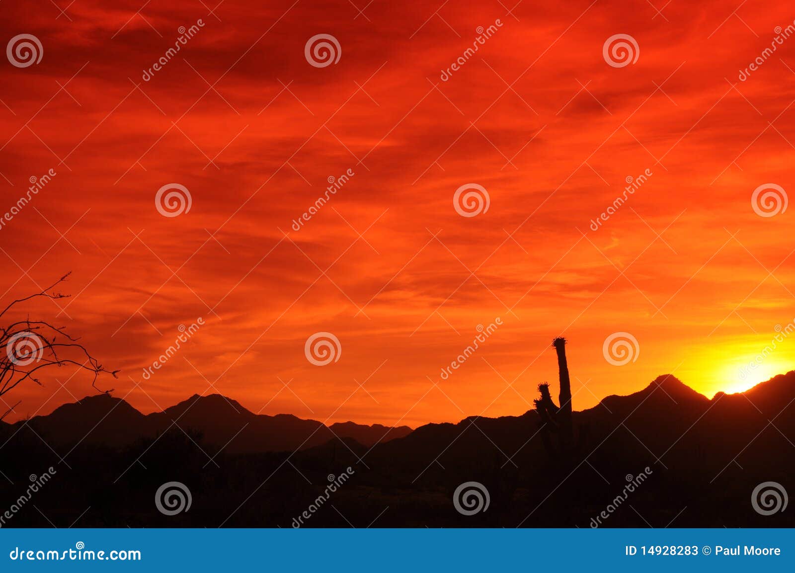 Arizona Sunset stock image. Image of desert, spiritual - 14928283