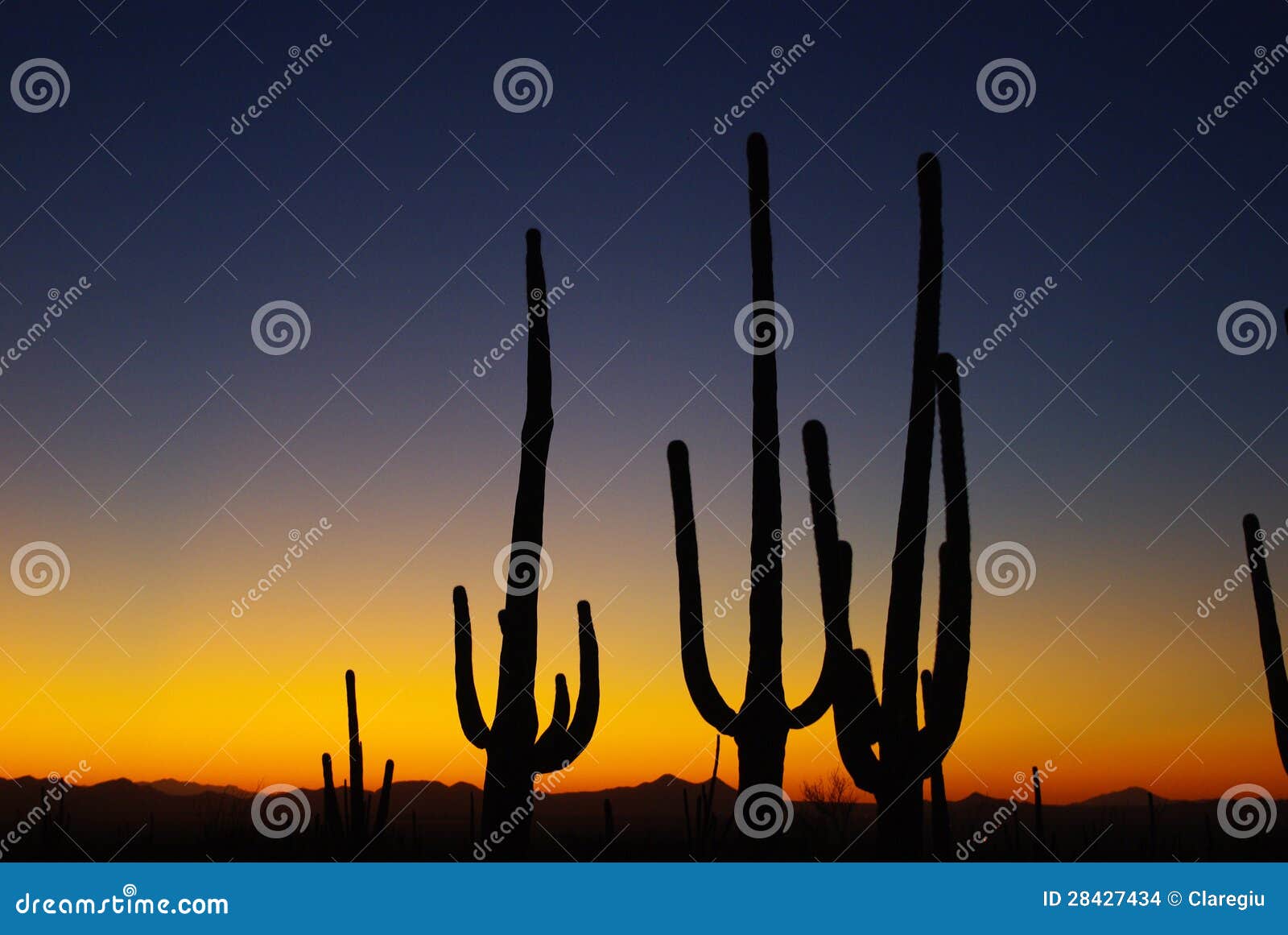 Arizona Sunset stock photo. Image of cactus, blue, colors - 28427434